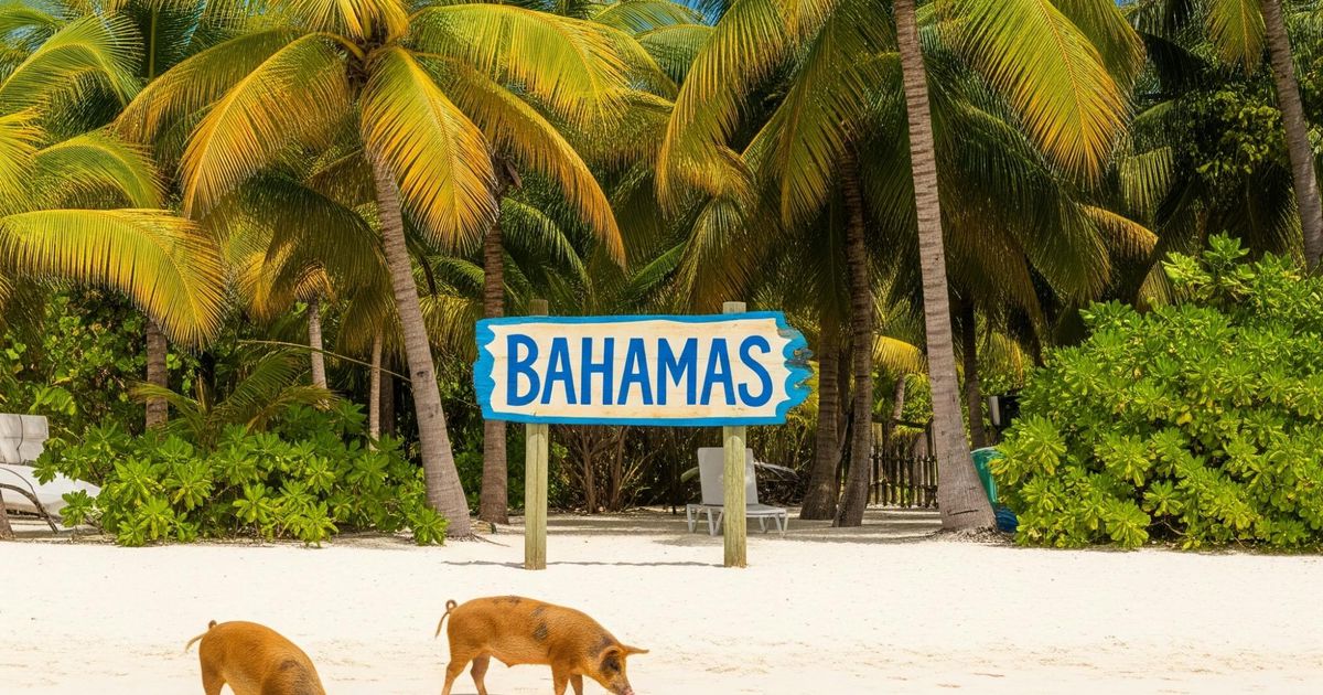 Grand Bahama tour with optional Pig Beach visit - Tinggly