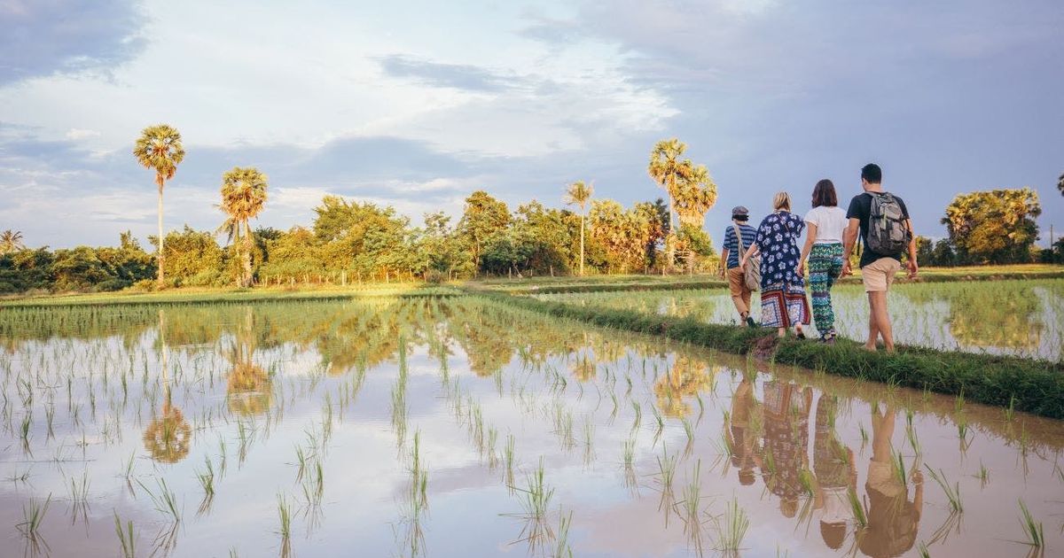 Bali's hidden rice terraces trek experience - Tinggly