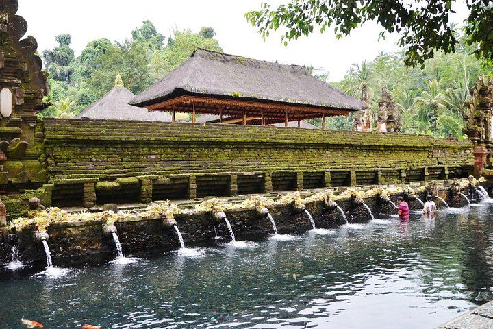 Ubud Highlight Tour with Waterfalls - Tinggly