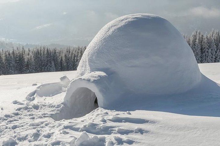 Northern Lights Trip with an Overnight Stay in a Snow Igloo - Tinggly