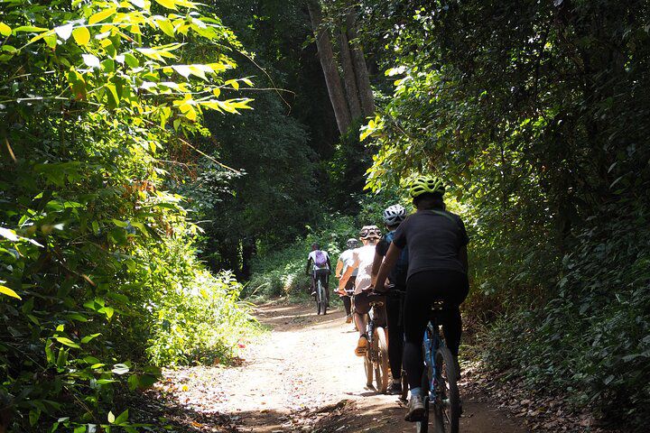 Rau Forest Bike tour - Tinggly