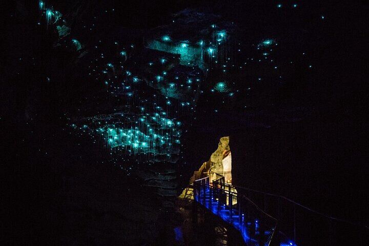 Waitomo Glow Worm Caves - Tinggly
