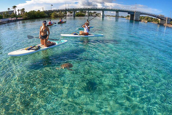 Jupiter Island Guided Paddle Boarding Tour - Tinggly