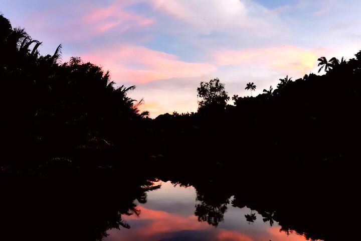 Johor Desaru Coast Firefly Afterdark River Cruise - Tinggly