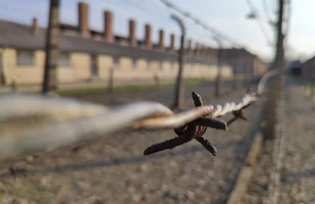 Private Tour to Auschwitz-Birkenau from Krakow - Tinggly