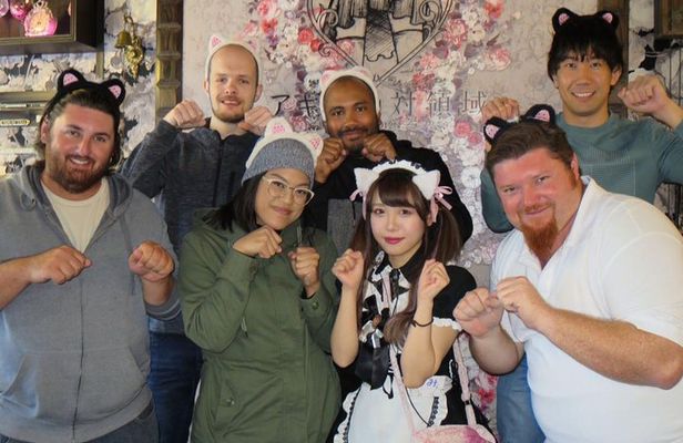 Akihabara Anime & Gaming Adventure Walking Tour - Tinggly