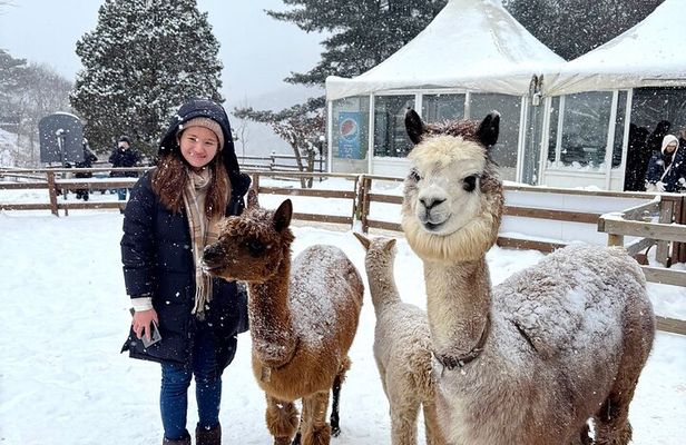 Eobi Ice Valley Nami Island and Alpaca World Tour from Seoul - Tinggly