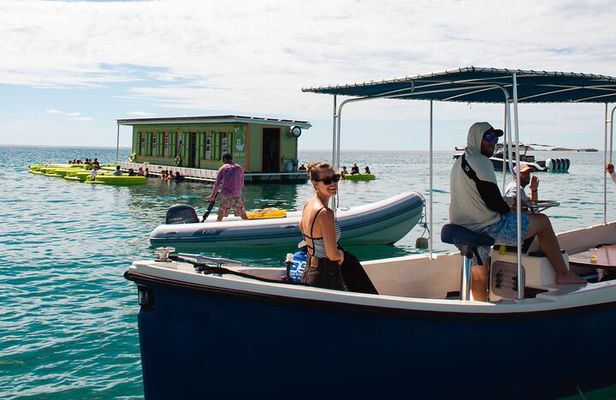 Taco Tug Tacos Turtles and Tiki Bars - Tinggly